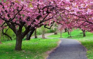 Springtime, A Time for Change - 7 Simple Ways to Form Better Habits