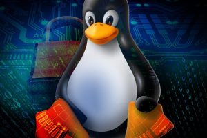 3 Ways Linux Can Help You Become Better in Study